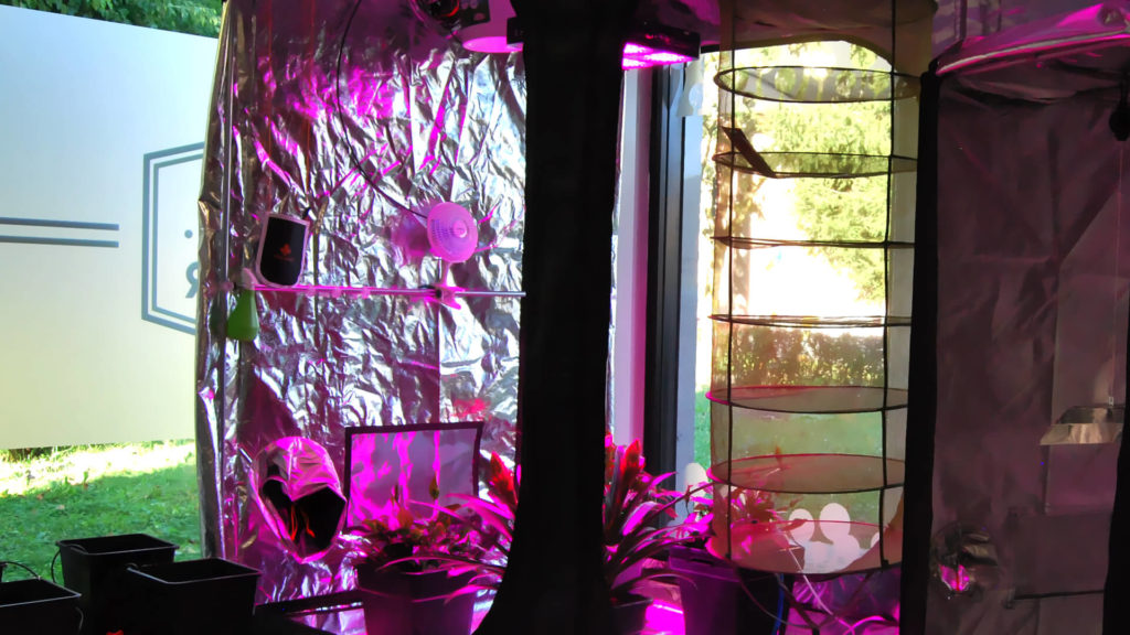 Grow box cos’è e come funziona - iBonsai